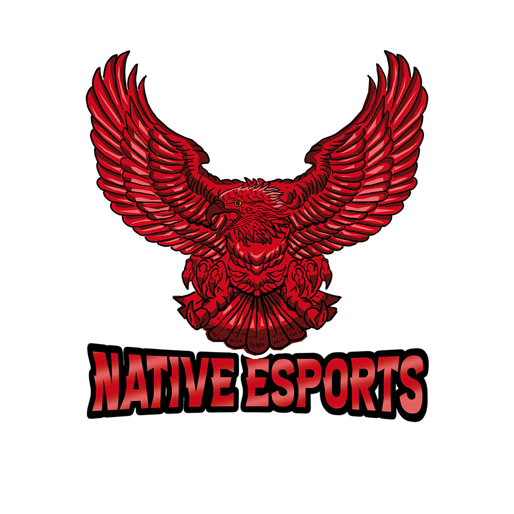 Native Esports Sticker – Aporia Customs