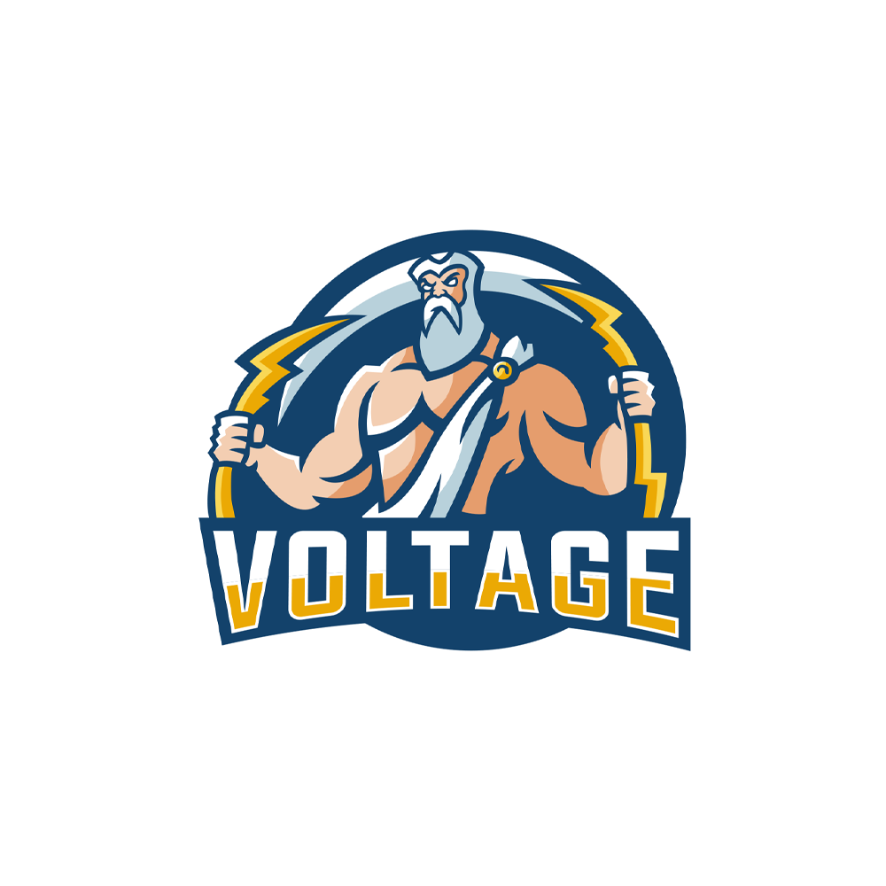 Voltage Esports Sticker – Aporia Customs